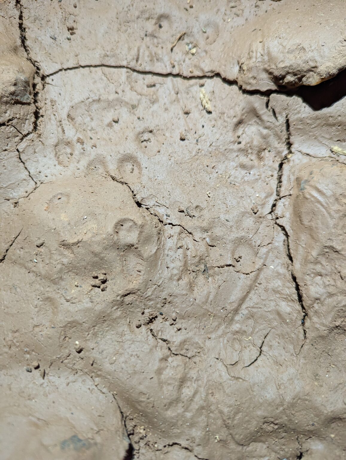 Yo-Yo Pit and the Martin Cave System NM, May 2023 – Fusion and Things